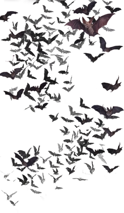 Swarms set | Vampire Wars Wiki | Fandom