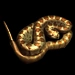 Sidewinder | Vampire Wars Wiki | Fandom