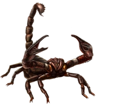 Scorpions set | Vampire Wars Wiki | Fandom