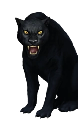 Jaguar set | Vampire Wars Wiki | Fandom