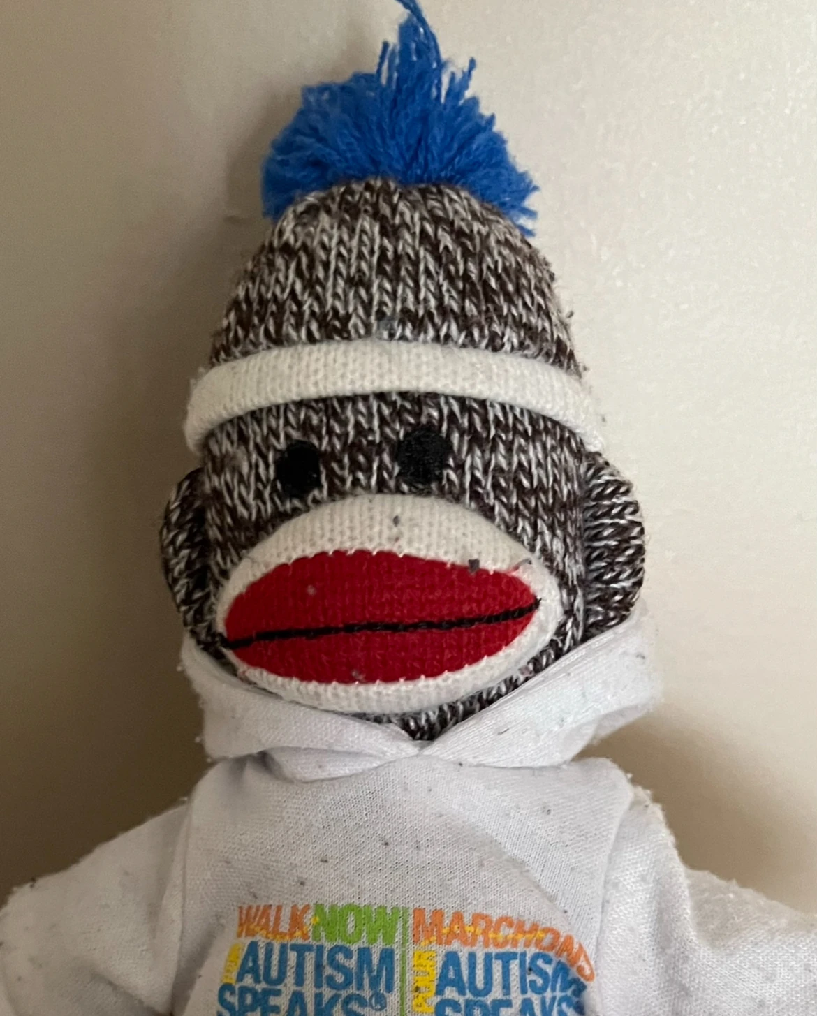 Sock Monkey | VanGangnesPlushMovie Wiki | Fandom