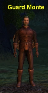 Guard Monte | Vanguard Saga of Heroes | Fandom