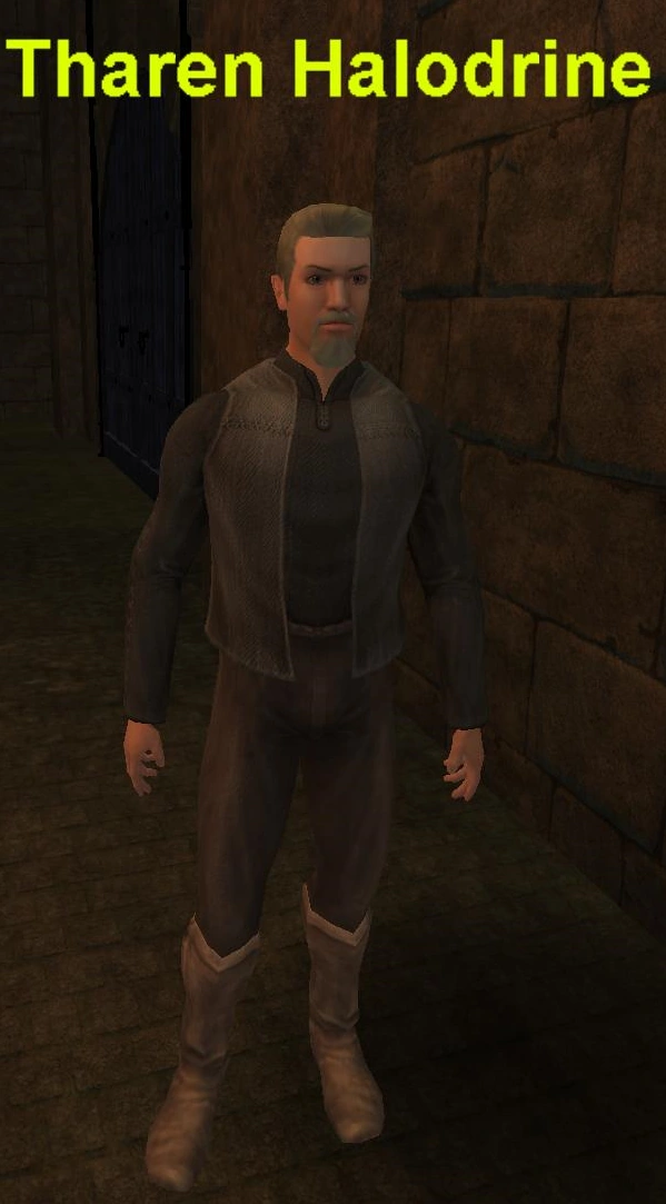 Tharen Halodrine | Vanguard Saga of Heroes | Fandom