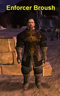 Enforcer Broush | Vanguard Saga of Heroes | Fandom