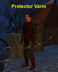 Protector Varin | Vanguard Saga of Heroes | Fandom