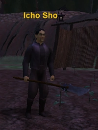 Icho Sho | Vanguard Saga of Heroes | Fandom