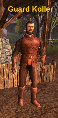 Guard Koller | Vanguard Saga of Heroes | Fandom