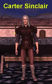 Carter Sinclair | Vanguard Saga of Heroes | Fandom