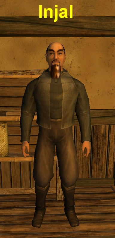 Injal | Vanguard Saga of Heroes | Fandom