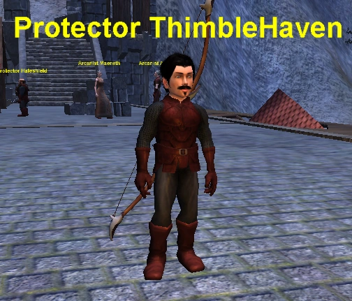 Protector ThimbleHaven | Vanguard Saga of Heroes | Fandom