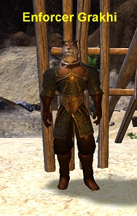 Enforcer Grakhi | Vanguard Saga of Heroes | Fandom