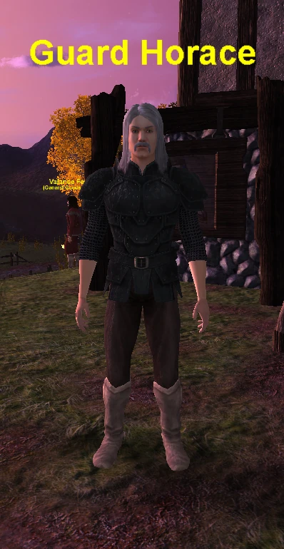 Guard Horace | Vanguard Saga of Heroes | Fandom