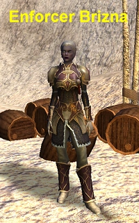 Enforcer Brizna | Vanguard Saga of Heroes | Fandom