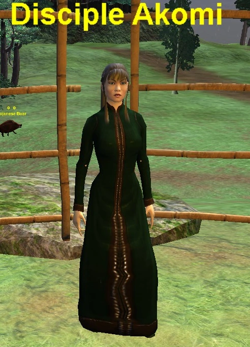 Disciple Akomi | Vanguard Saga of Heroes | Fandom