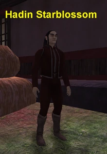 Hadin Starblossom | Vanguard Saga of Heroes | Fandom