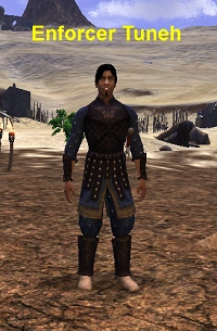 Enforcer Tuneh | Vanguard Saga of Heroes | Fandom