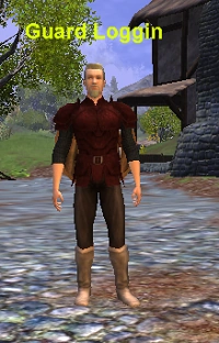 Guard Loggin | Vanguard Saga of Heroes | Fandom