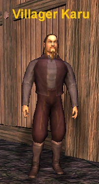 Villager Karu | Vanguard Saga of Heroes | Fandom