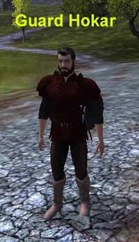 Gaurd Hokar | Vanguard Saga of Heroes | Fandom