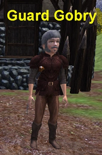 Guard Gobry | Vanguard Saga of Heroes | Fandom