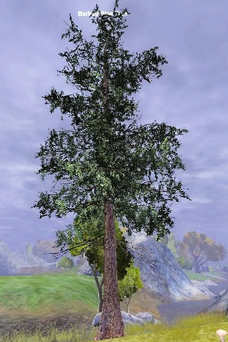 Barbed Tree | Vanguard Saga of Heroes | Fandom