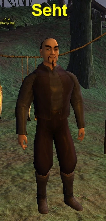 Seht | Vanguard Saga of Heroes | Fandom