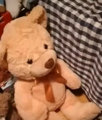 Teddy | VanhaRonsu123 Wiki | Fandom