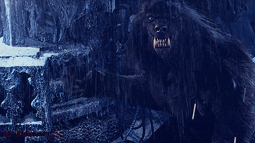 Van Helsing Werewolf Transformation Gif