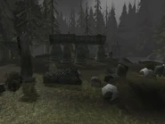 Darkshore | Vanilla WoW Wiki | Fandom