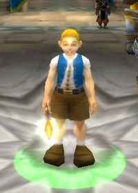 Anduin Wrynn | Vanilla WoW Wiki | Fandom