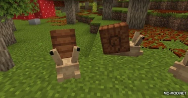 Autumnity | VanillaEsque Wiki | Fandom