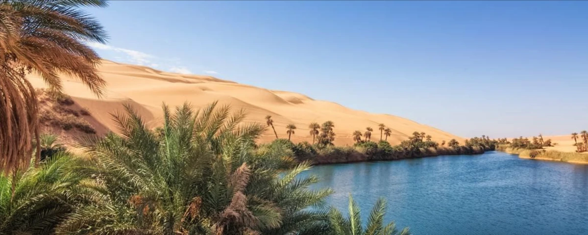 Harapara Desert | The VanillaFlare Wiki | Fandom