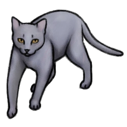 Varjak | Varjakpaw Wiki | Fandom