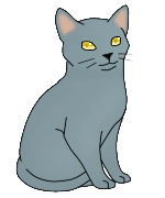 Varjak | Varjak Paw Wiki | Fandom