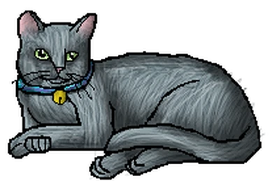 Holly Varjak Paw