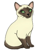 Malisha | Varjak Paw Wiki | Fandom
