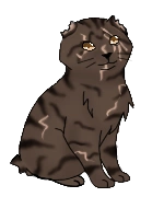 Razor | Varjak Paw Wiki | Fandom