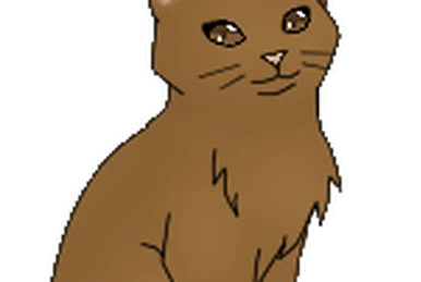 Holly Varjak Paw