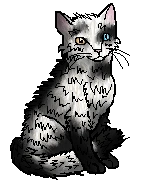 Holly | Varjak Paw Wiki | Fandom