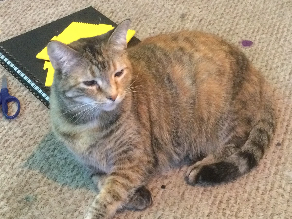 Yanna | Vast-errror Wiki | Fandom