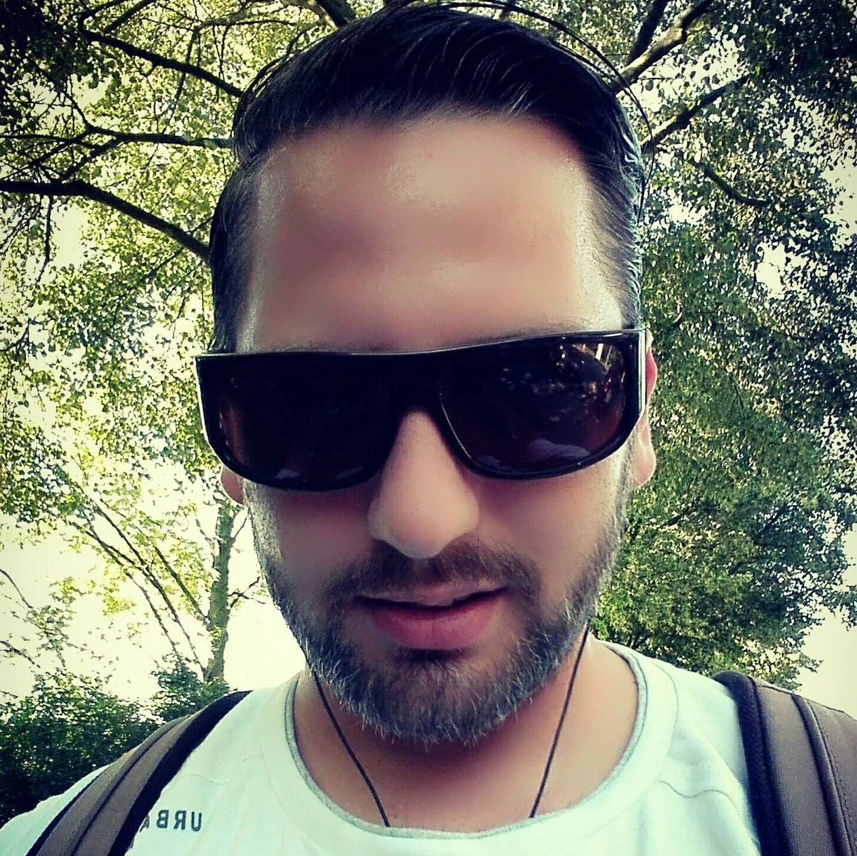 Vis | VBT Wiki | Fandom