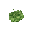 Foliage | Vectaria Wiki | Fandom