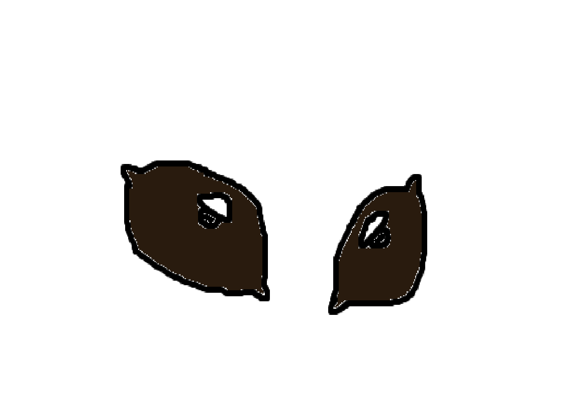 Vector Stock - Eyes of squirrel | Vector Stock Wiki | Fandom