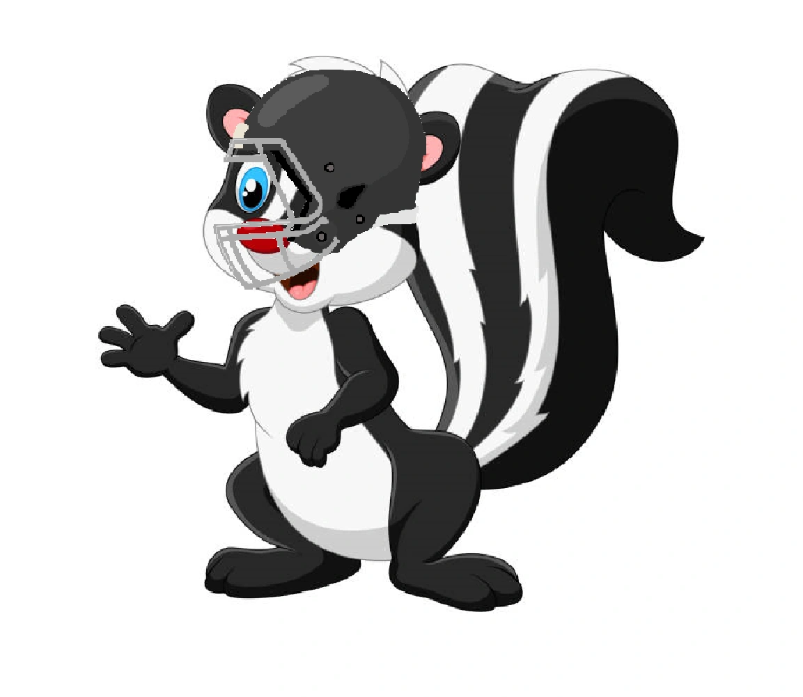 Free Vector Stock - Cartoon cute skunk with football helmet | Vector ...