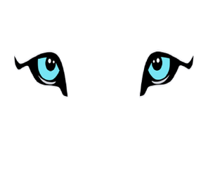 Royalty Vector Stock - Snow Leopard eyes, stock vector | Vector Stock ...