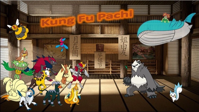 Kung Fu Pachi | Vee’s Total Pokemon Wiki | Fandom