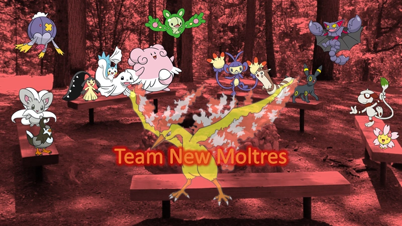 Team New Moltres | Vee’s Total Pokemon Wiki | Fandom
