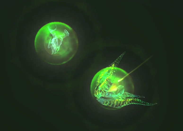 Xeno Reaper - VEGA Conflict Wiki