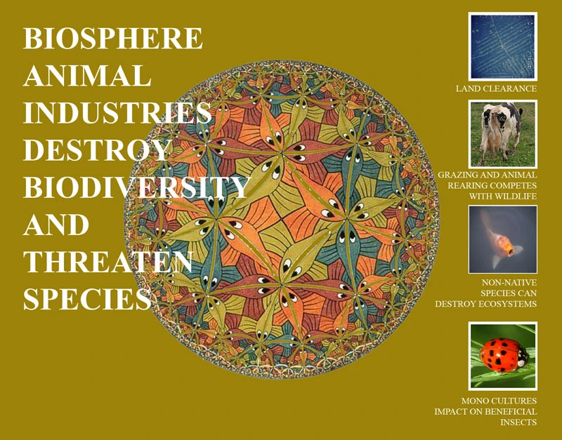 BIOSPHERE: Animal industries destroy biodiversity and threaten species ...