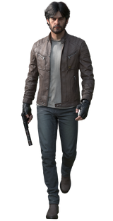 VEILED EXPERTS Wiki | Fandom